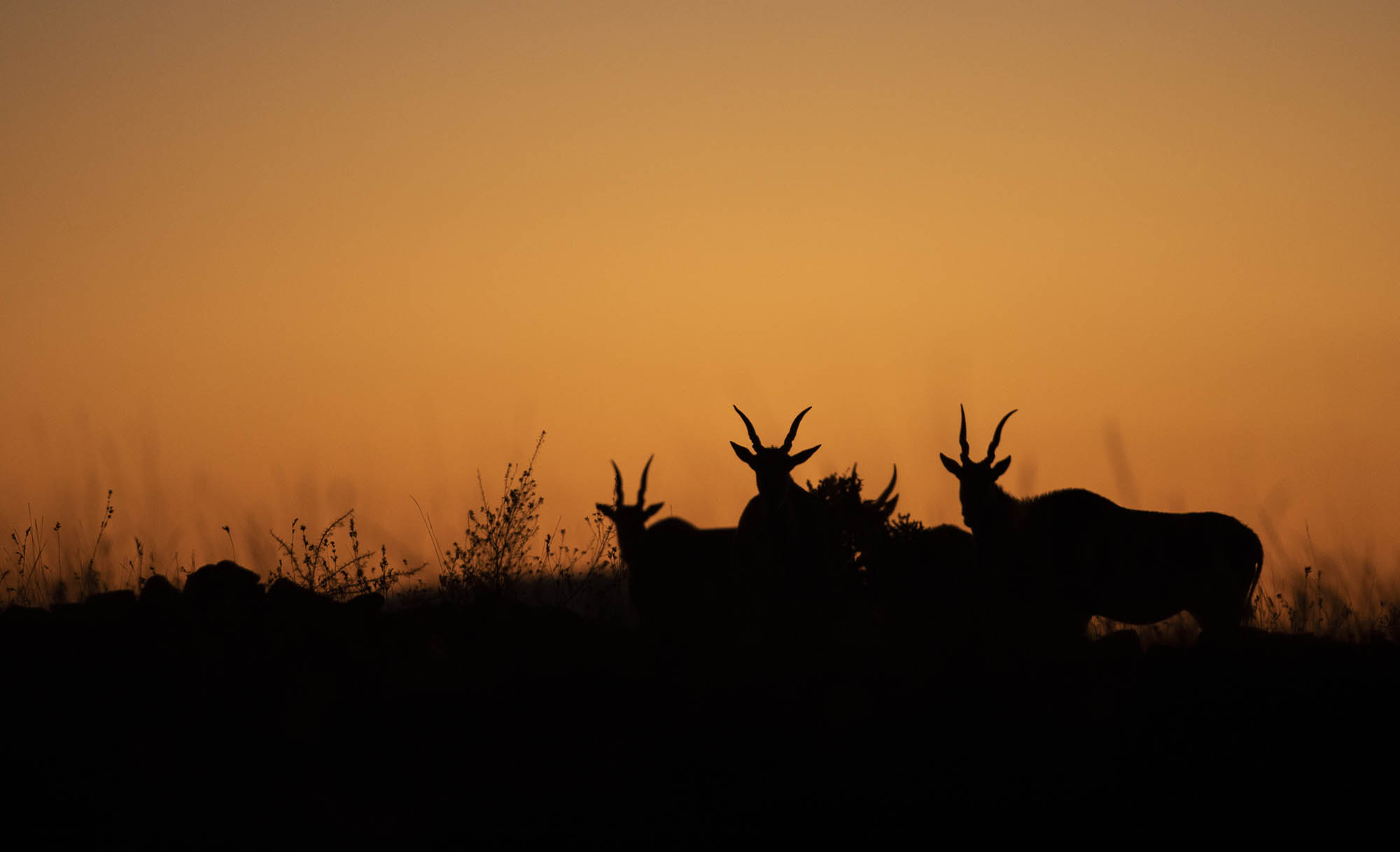 Fact Sheet - Ndaka Safari Lodge