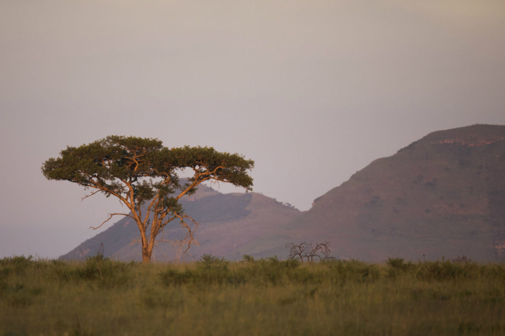 Ndaka Safari Lodge | Useful Information