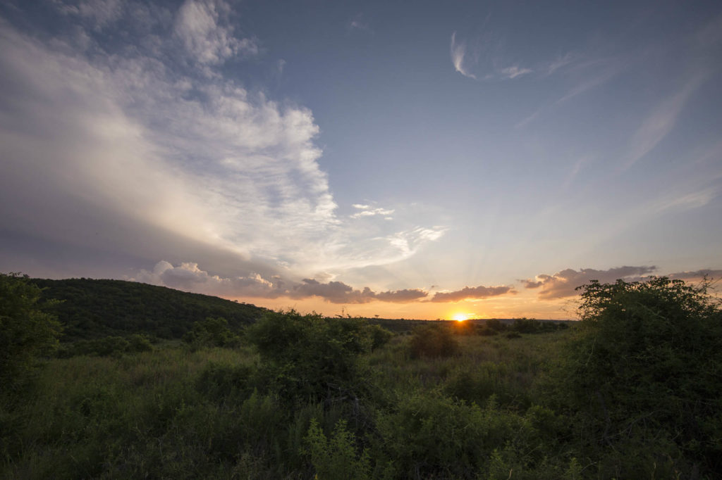 Ndaka Safari Lodge | Situated in the Nambiti Big 5 Private Game Reserve