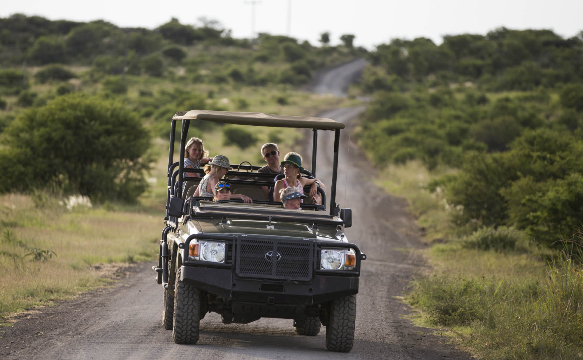 Game Drives - Ndaka Safari Lodge