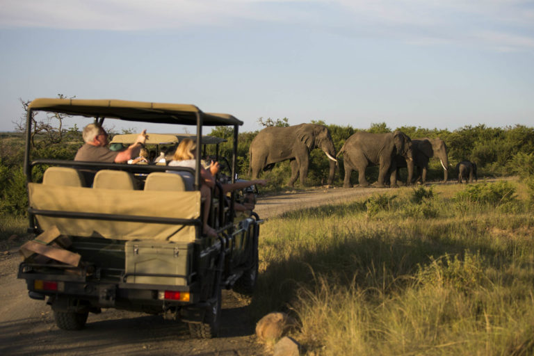 Ndaka Safari Lodge | Always authentic, magical and memorable
