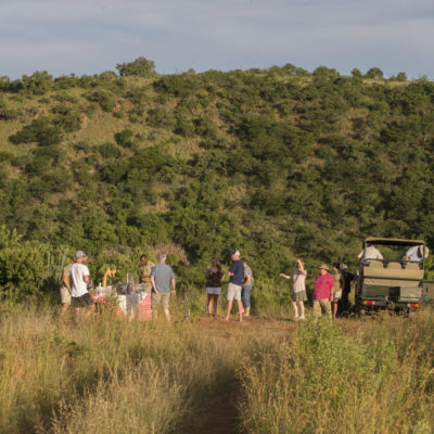 Game Drives - Ndaka Safari Lodge