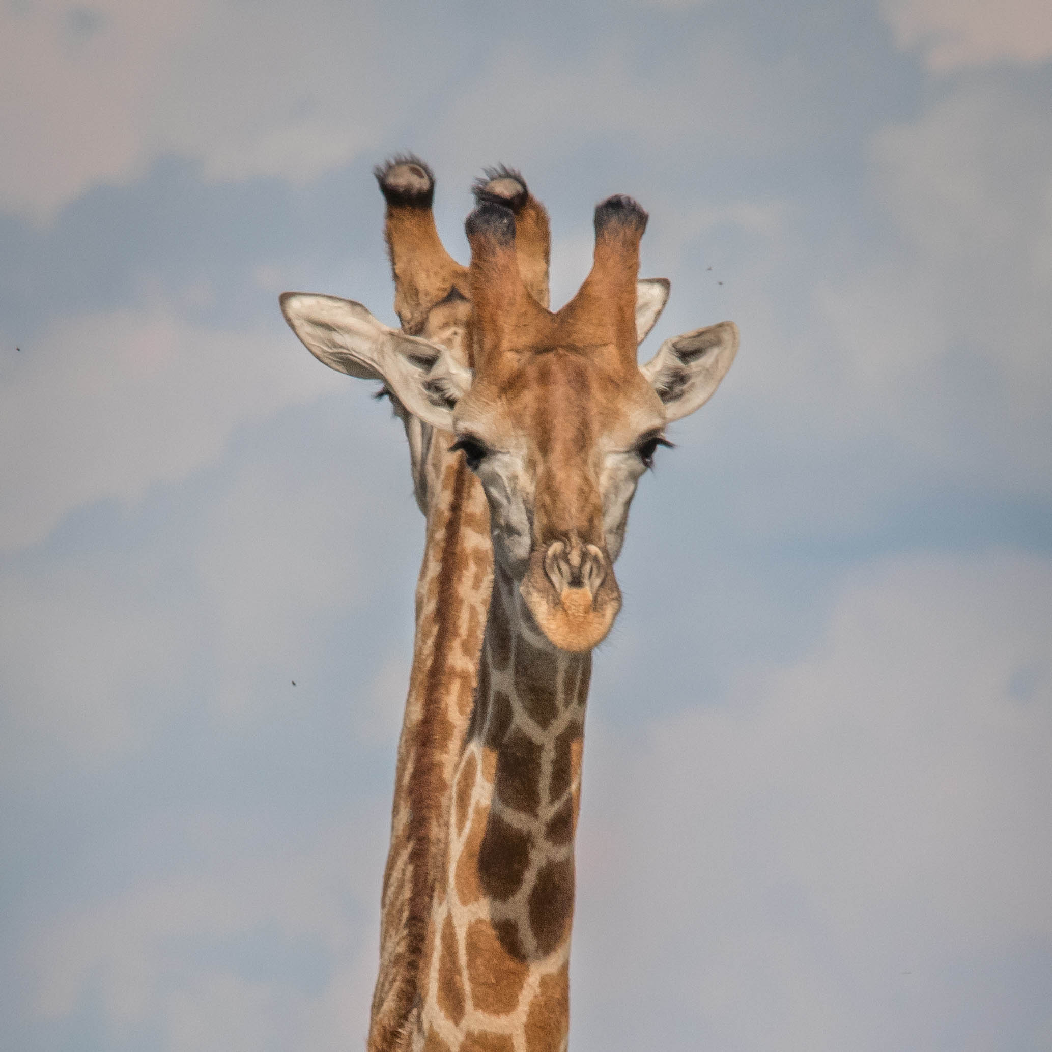 Ndaka Safari Lodge | We are a Team - Meet the Team